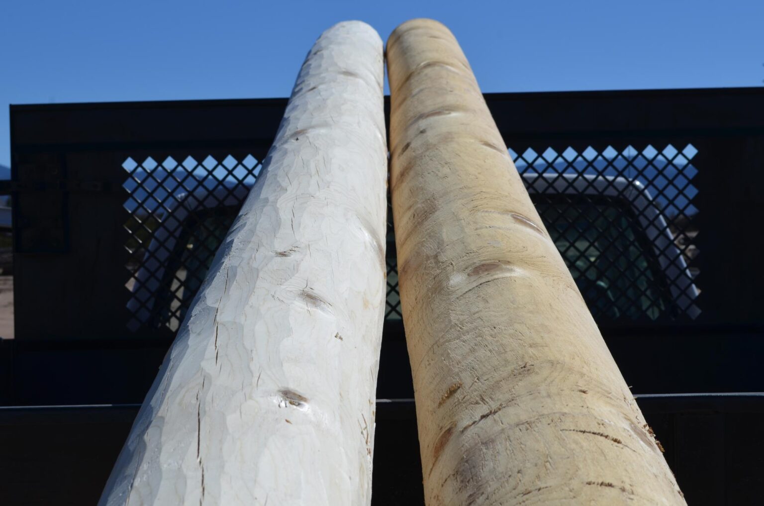 Vigas - Hansen Lumber Company